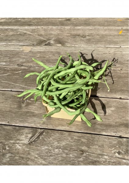 Filet Beans - Native Roots Farm